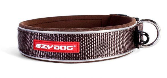 Best Collars for Labradors and Large Breed Dogs