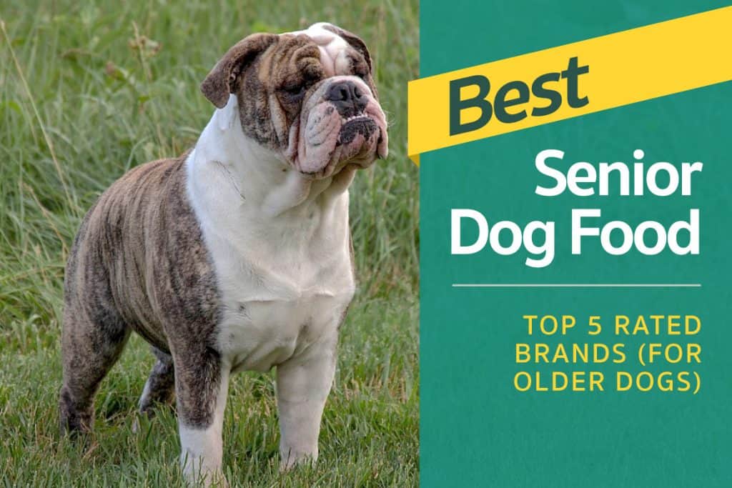 Best Senior Dog Food Top 5 Rated Brands For Older Dogs Best Senior Dog Food Top 5 Rated Brands For Older Dogs